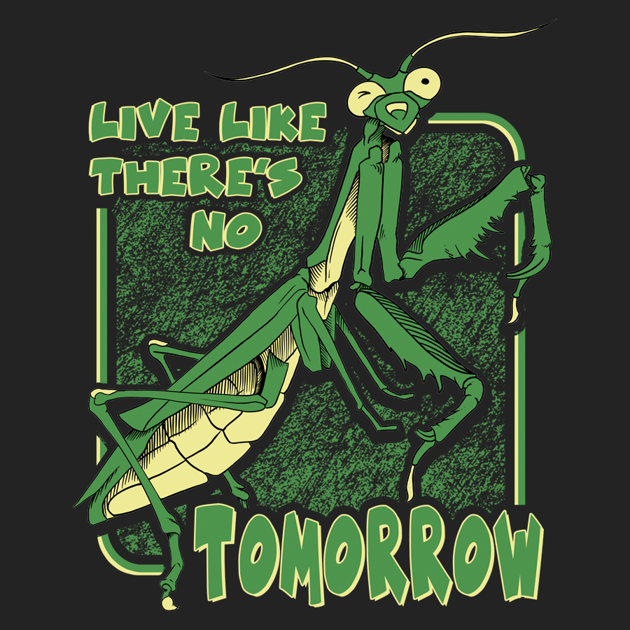 Praying Mantis – The Dude's Threads
